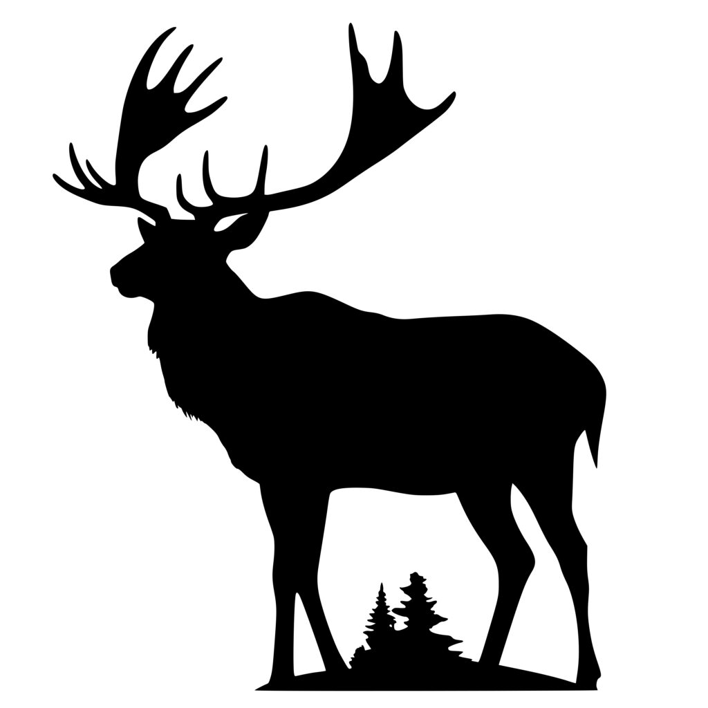 Elk – Creative Meadow