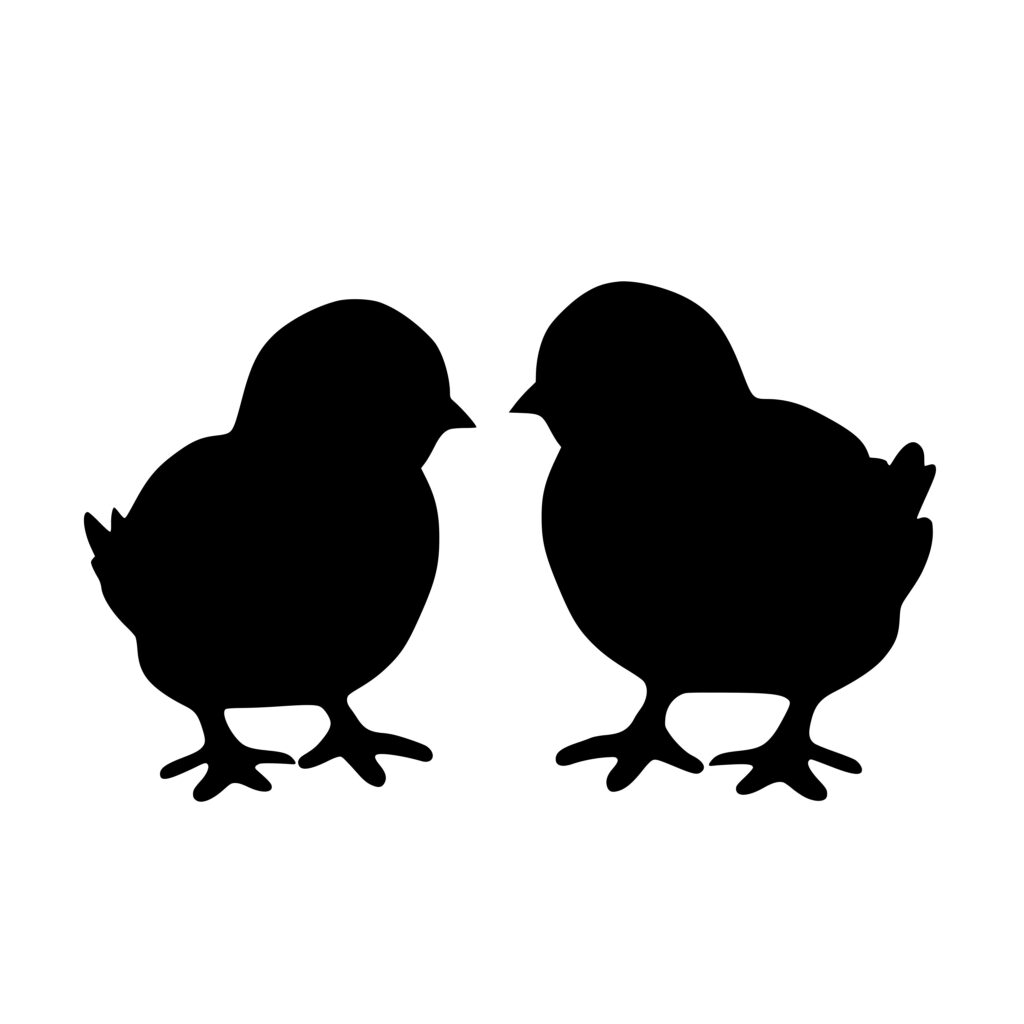 Baby Chicks SVG File: Perfect for Cricut, Silhouette, and Laser Machines