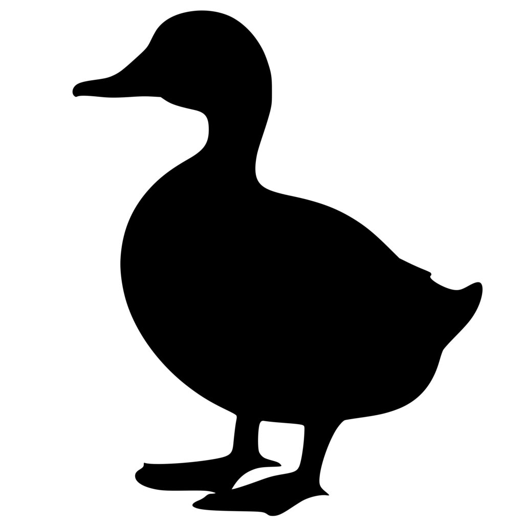 Adorable Duck – Creative Meadow