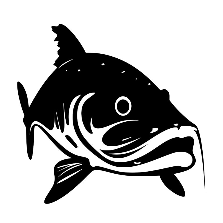 Fish - Creative Meadow