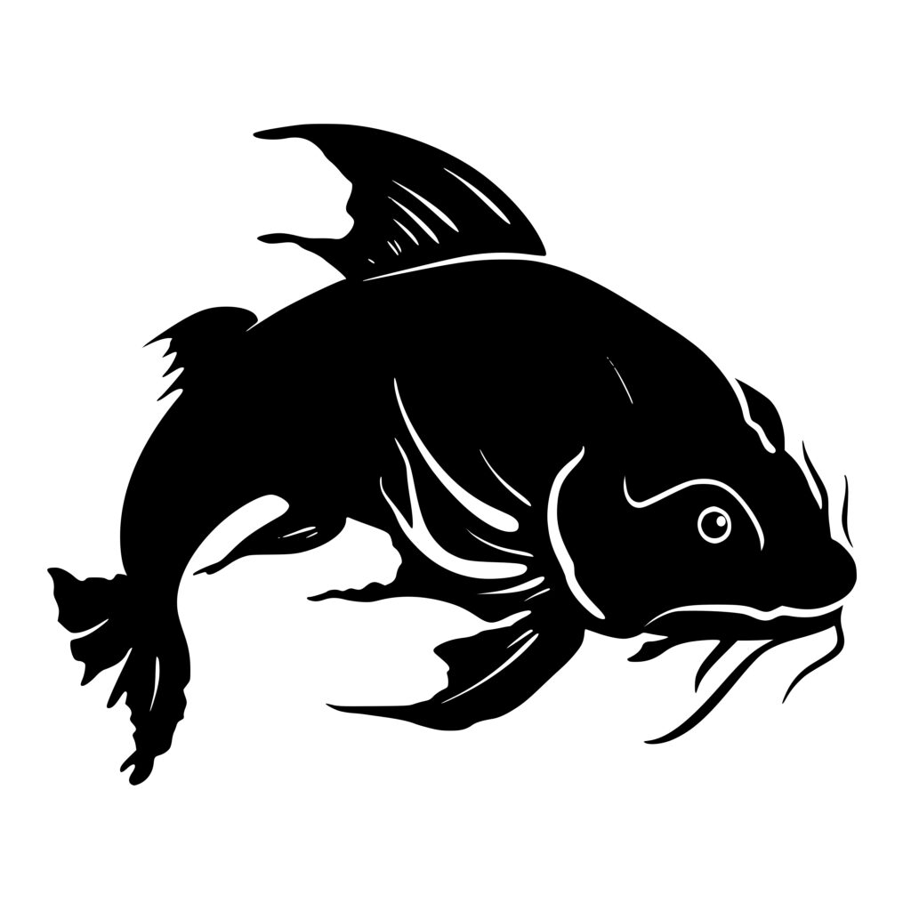 Mighty Catfish – Creative Meadow