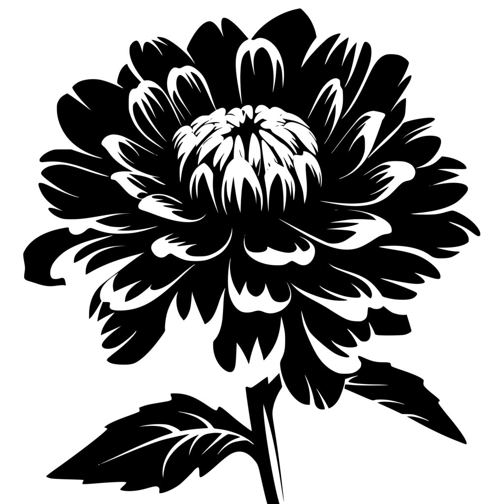 Zinnia Zenith – Creative Meadow