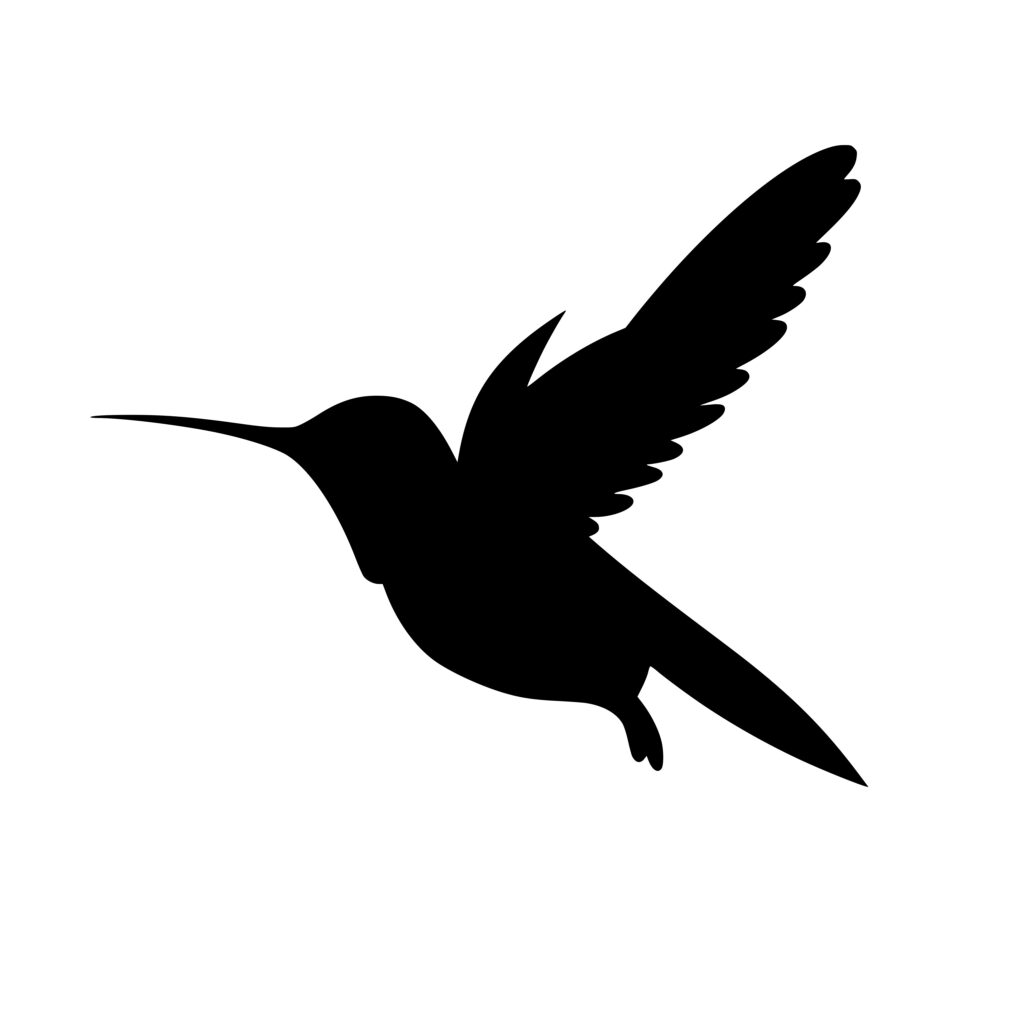 Hummingbird SVG File for Cricut, Silhouette, Laser Machines - Instant ...