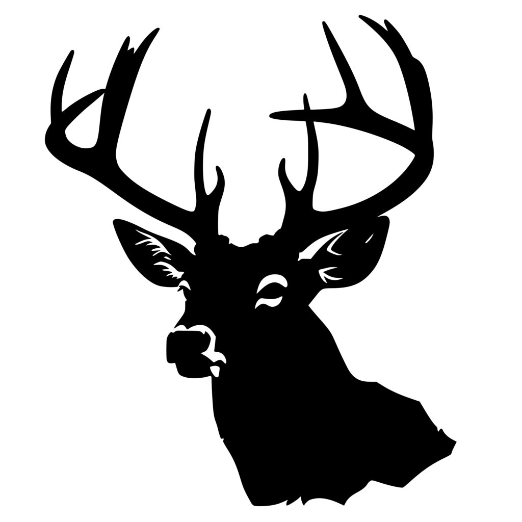 Majestic Buck – Creative Meadow