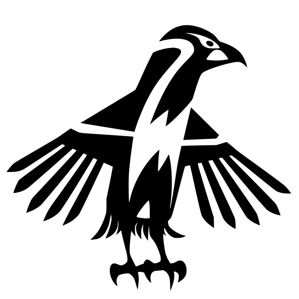 Feathered Thunderbird – Creative Meadow