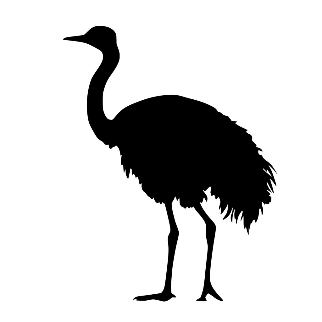 Ostrich Silhouette – Creative Meadow