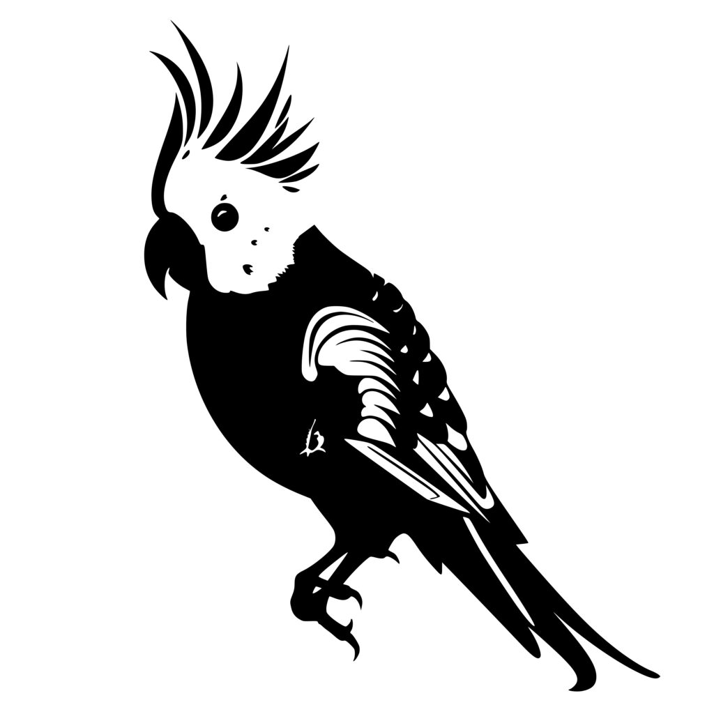 Cockatiel – Creative Meadow