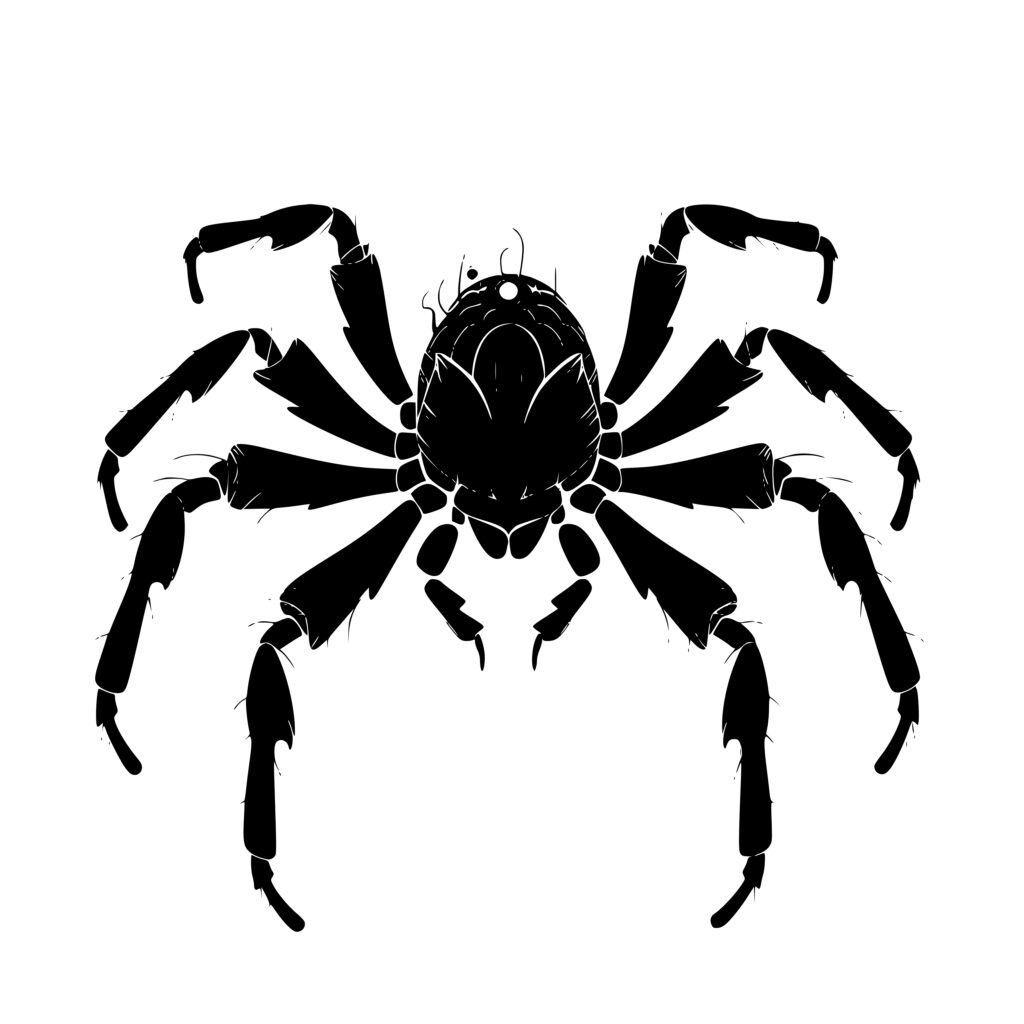 Spider SVG File: Perfect for Cricut, Silhouette, and Laser Machines
