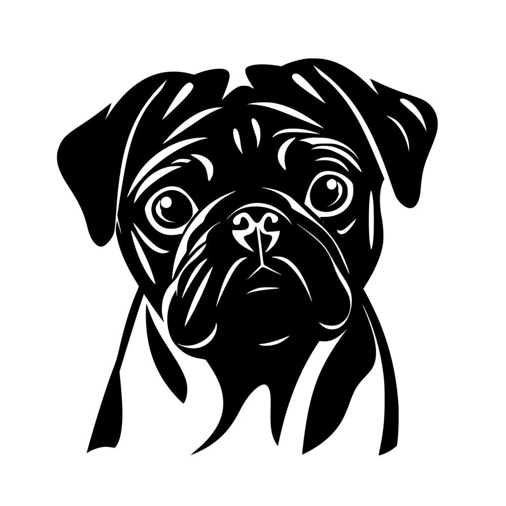Friendly Pug – Creative Meadow