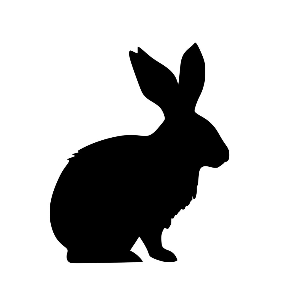 Cute Bunny SVG File for Cricut, Silhouette, Laser Machines