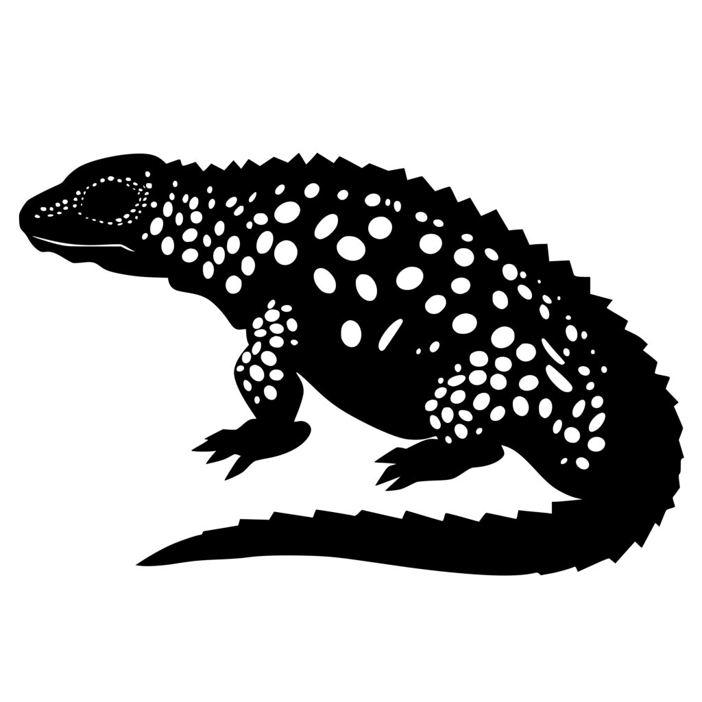 Gila Monster – Creative Meadow