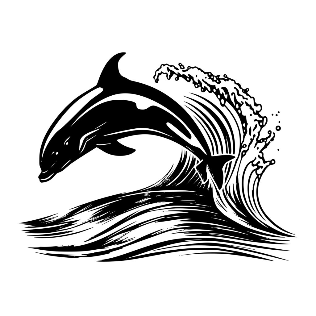 Dolphin Wave – Creative Meadow