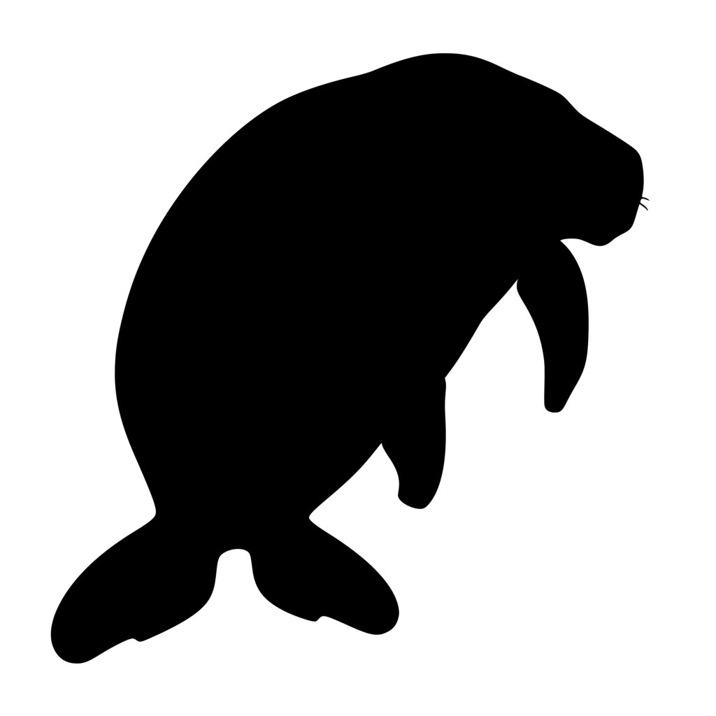 Manatee – Creative Meadow