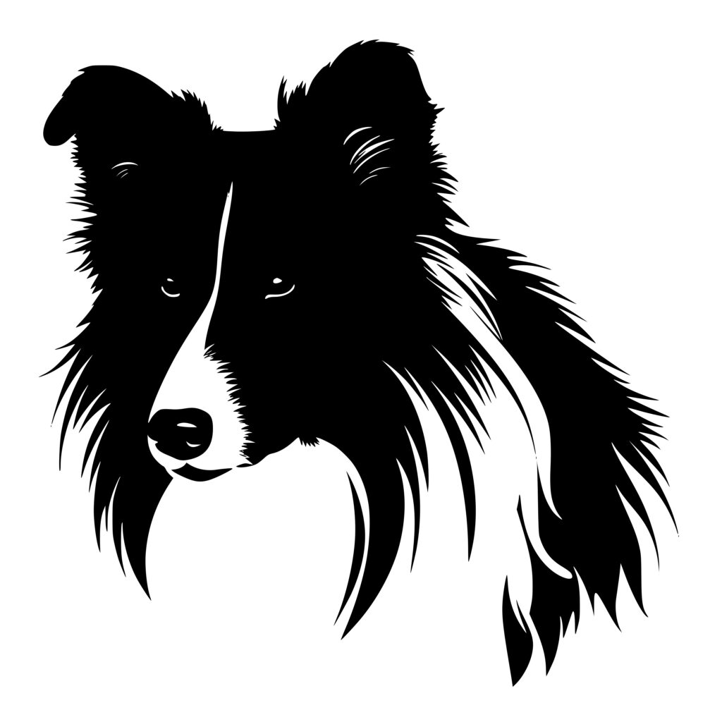 Sheltie Dog SVG File: Instant Download for Cricut, Silhouette, Laser