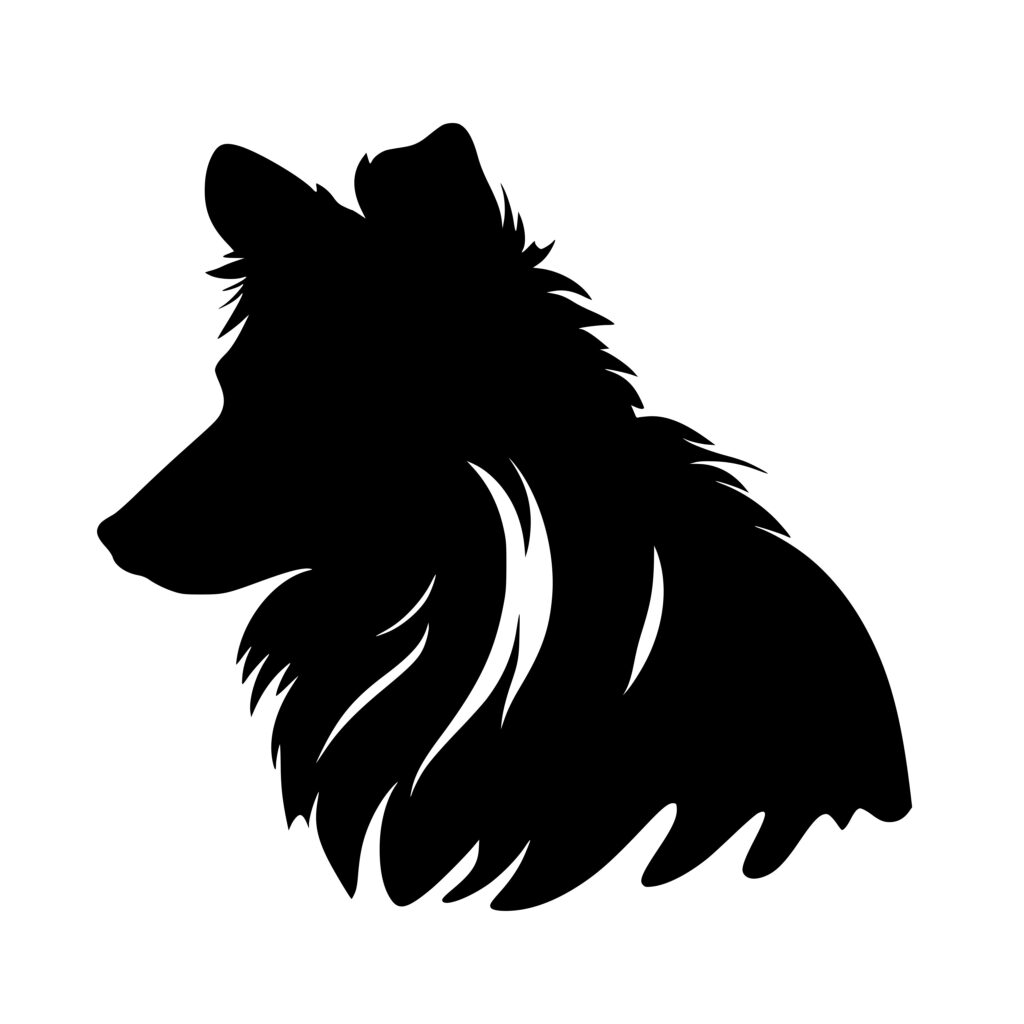 Shetland Sheepdog Posing: Instant Download SVG for Cricut & Silhouette