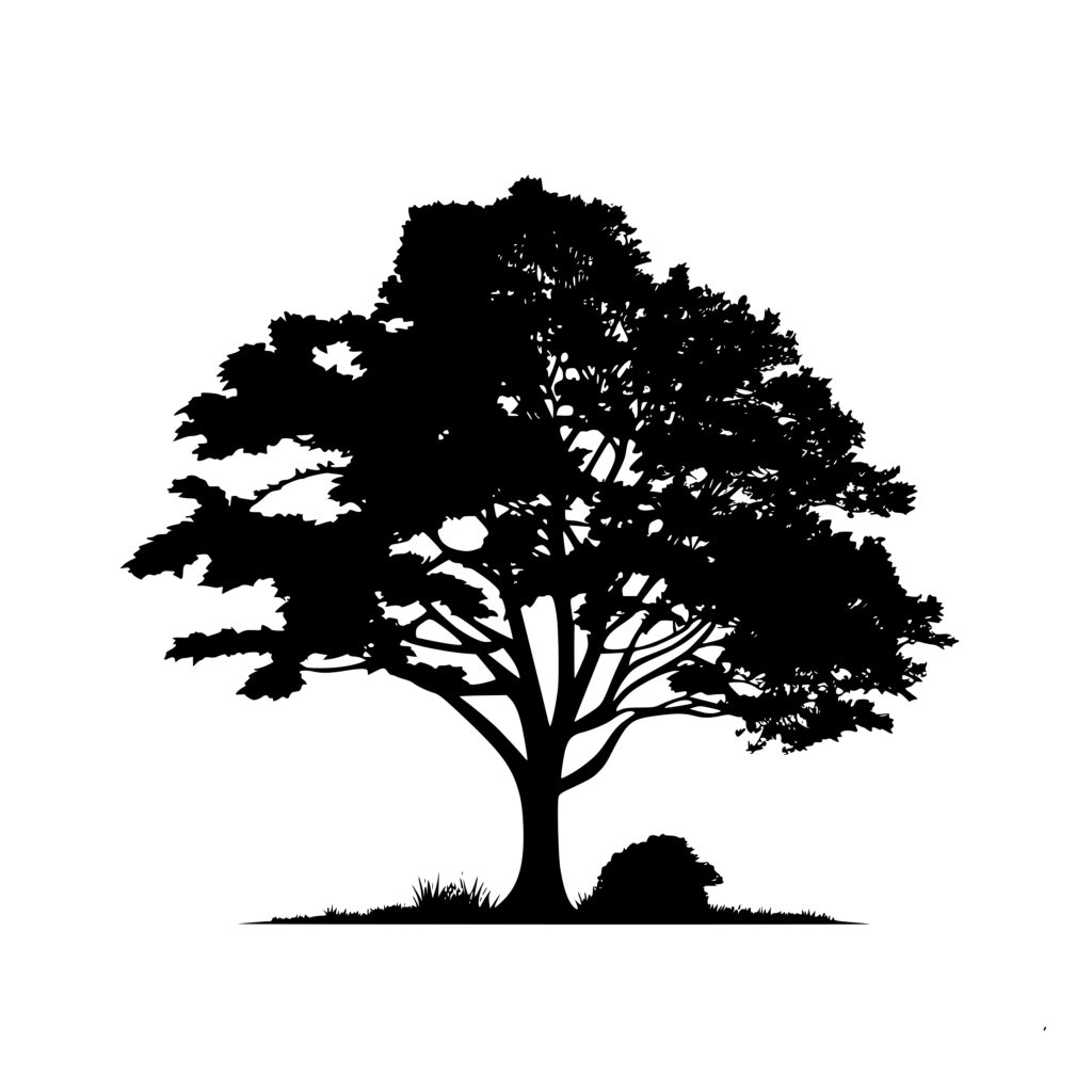 Oak Tree – Creative Meadow