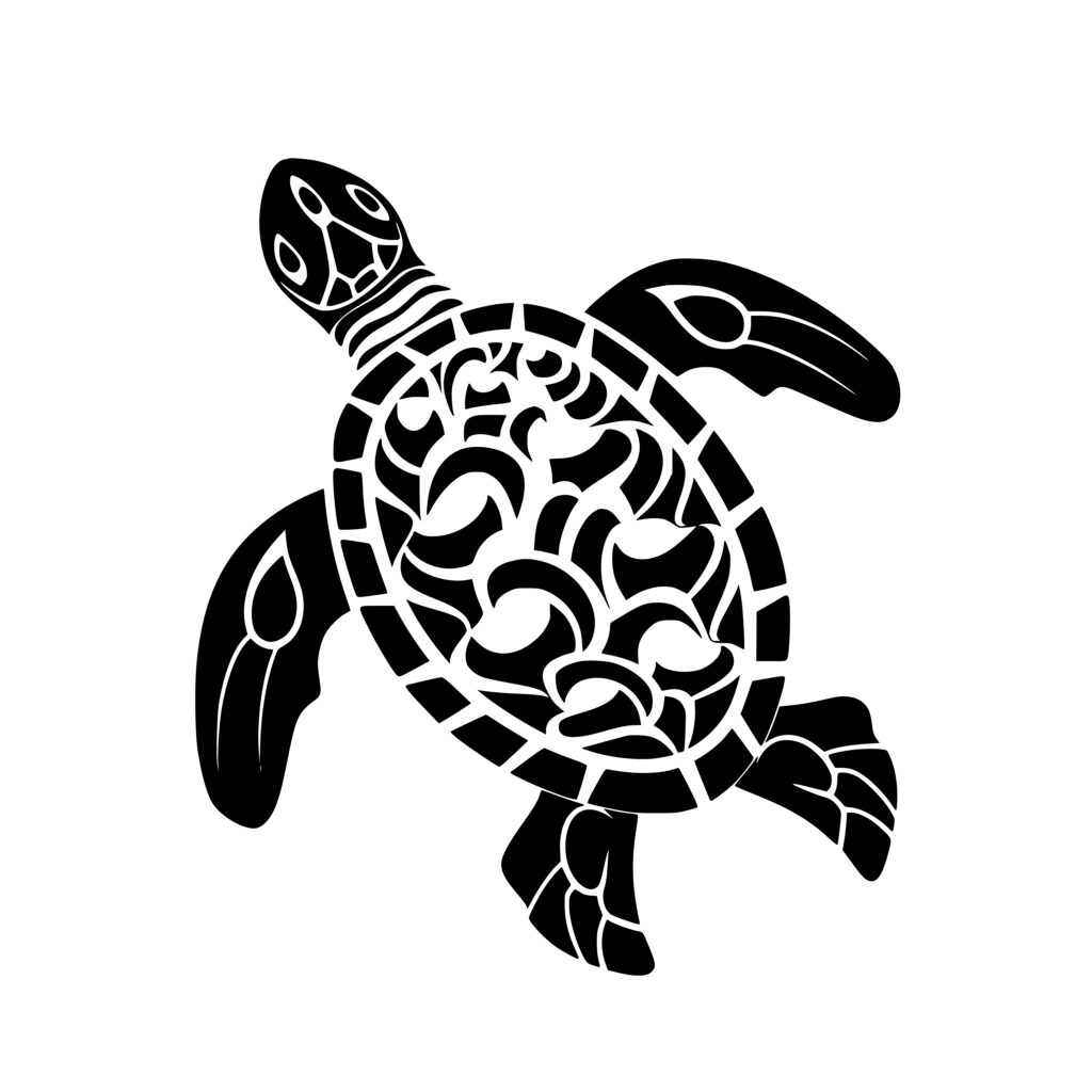 Beautiful Sea Turtle – Creative Meadow