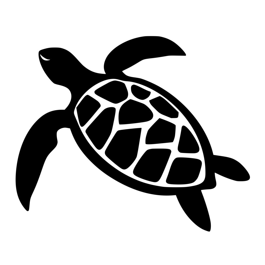 Loggerhead Turtle – Creative Meadow