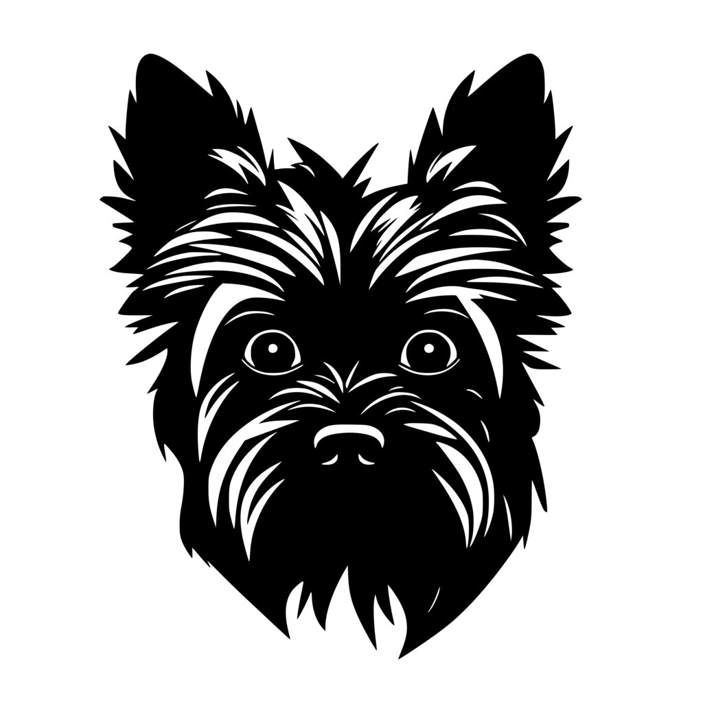 Yorkie Cutie – Creative Meadow