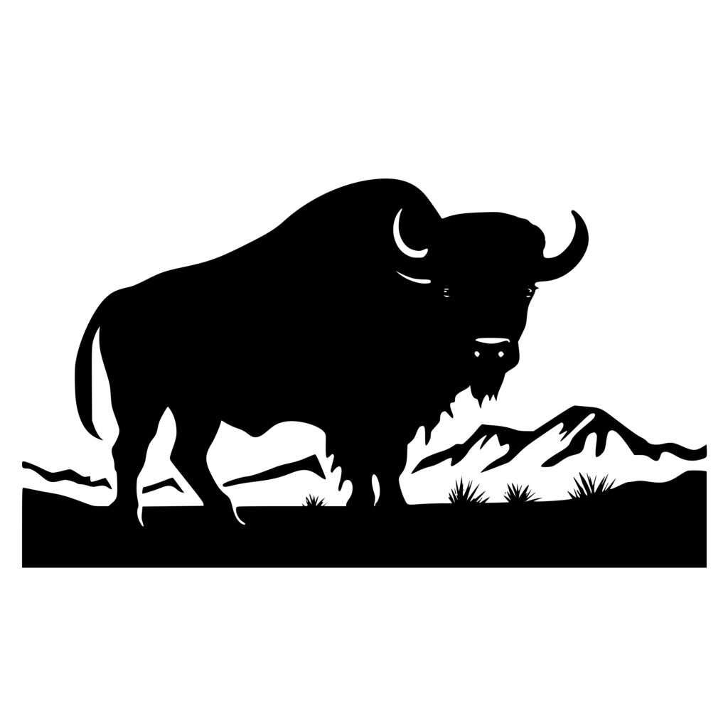 Buffalo on the Dunes – Creative Meadow