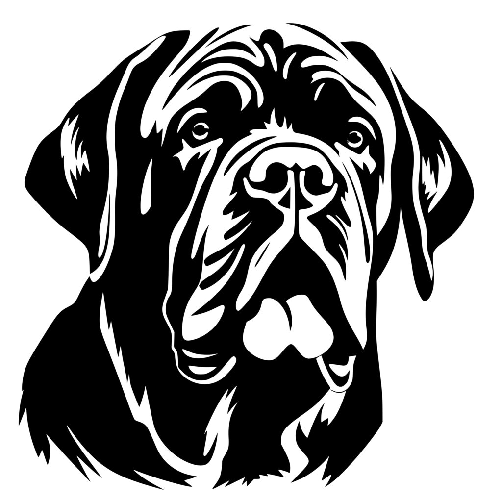 Adorable Mastiff Dog – Creative Meadow