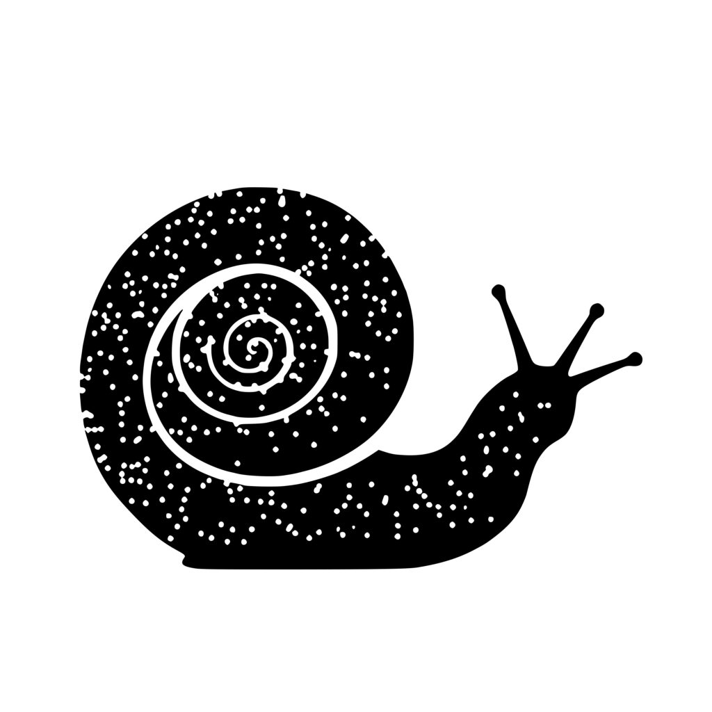Garden Snail SVG File for Cricut, Silhouette, Laser Machines