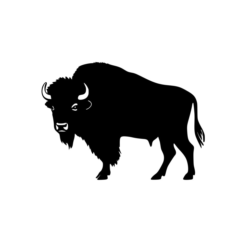 Buffalo – Creative Meadow