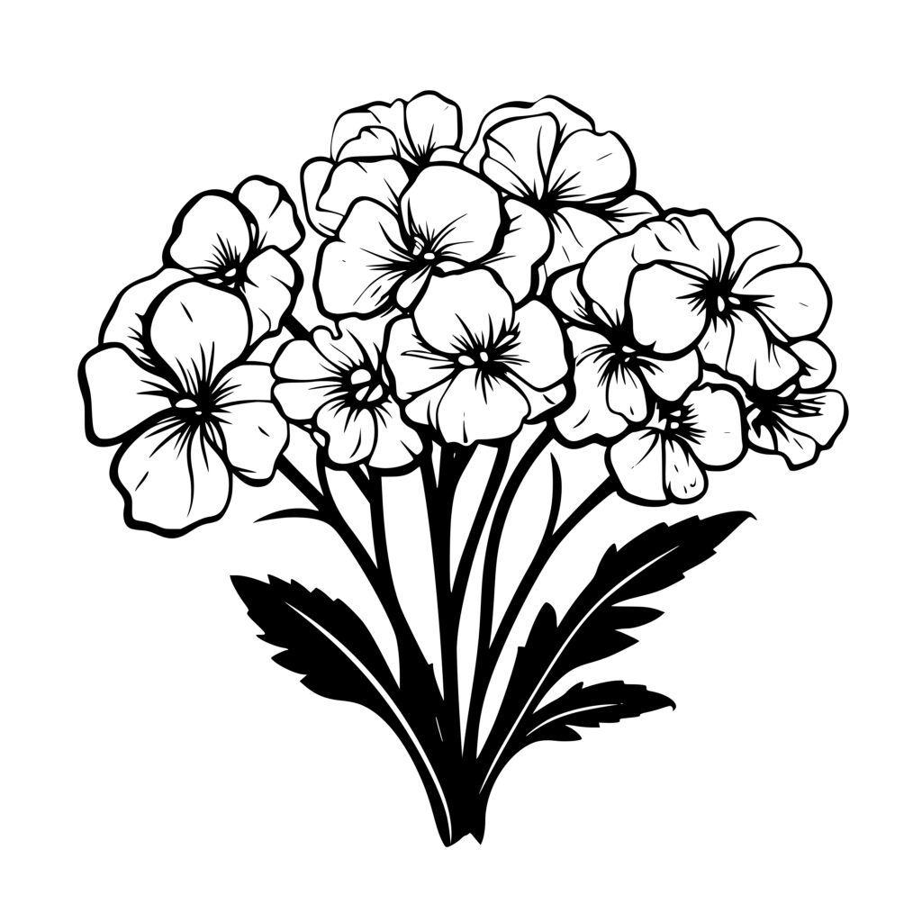 Primrose Array – Creative Meadow