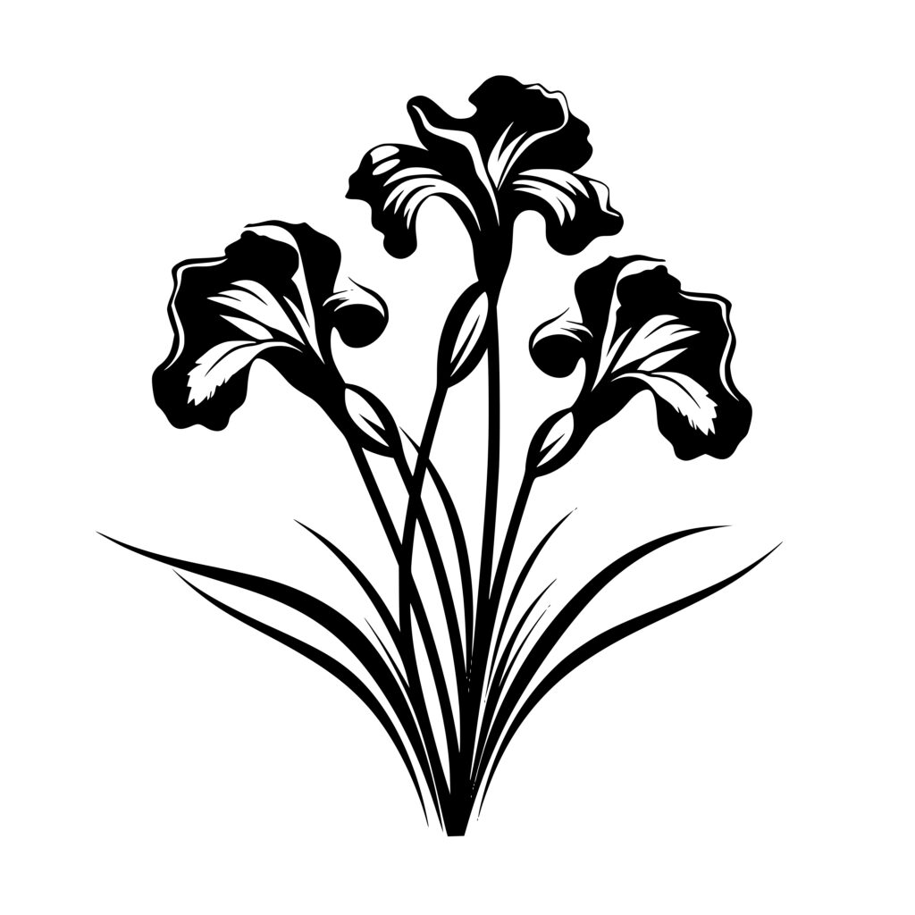 Iris Flowers – Creative Meadow