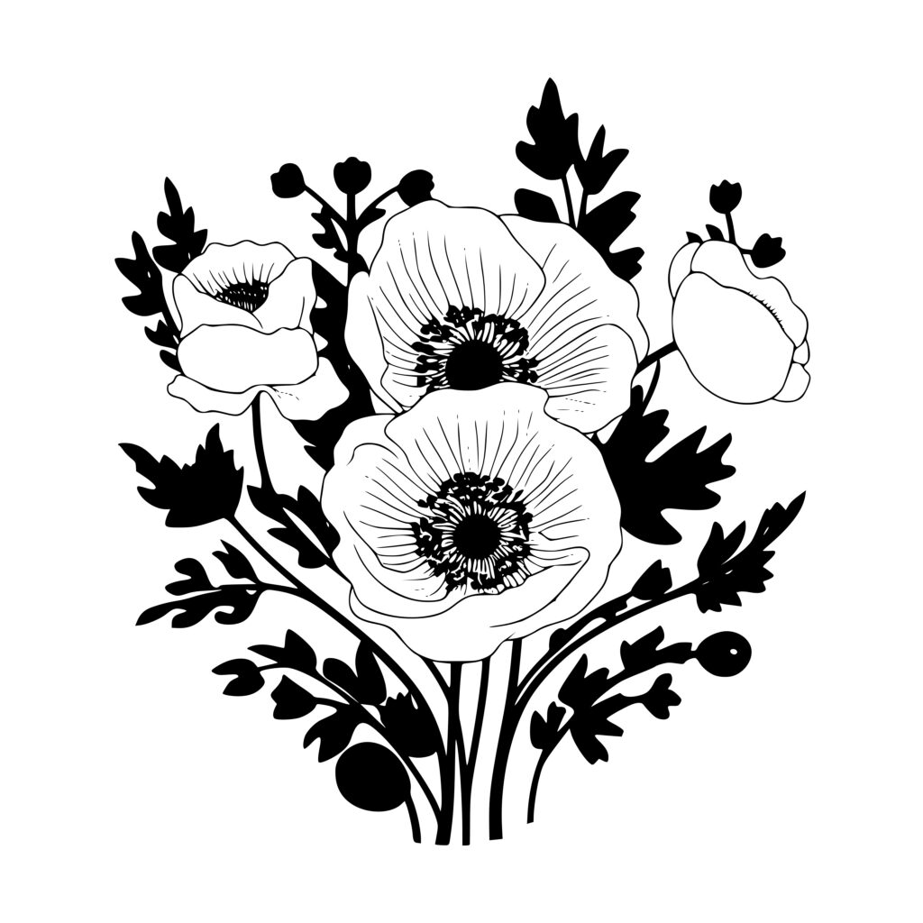 Primrose & Poppy Assortment – Creative Meadow