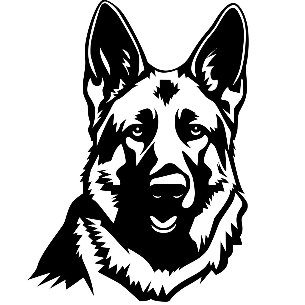 German Shepherd Portrait – Creative Meadow