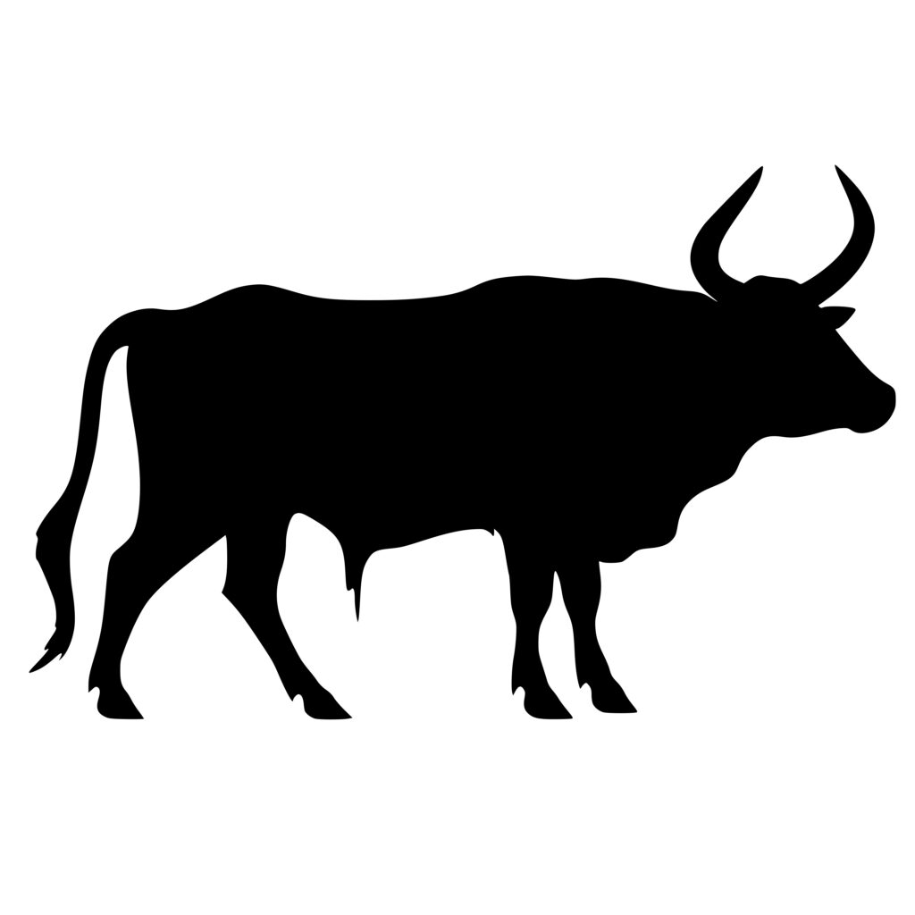 Magnificent Bull – Creative Meadow