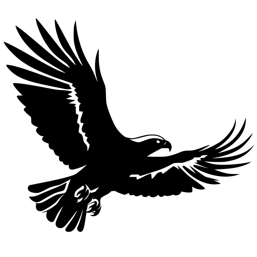 Soaring Eagle – Creative Meadow