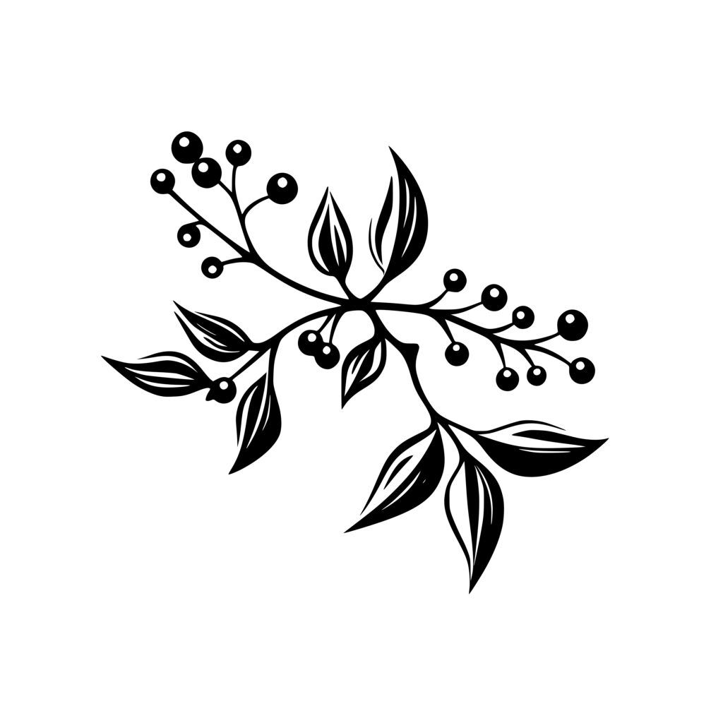 Mistletoe with Leaves and Fruit – Creative Meadow