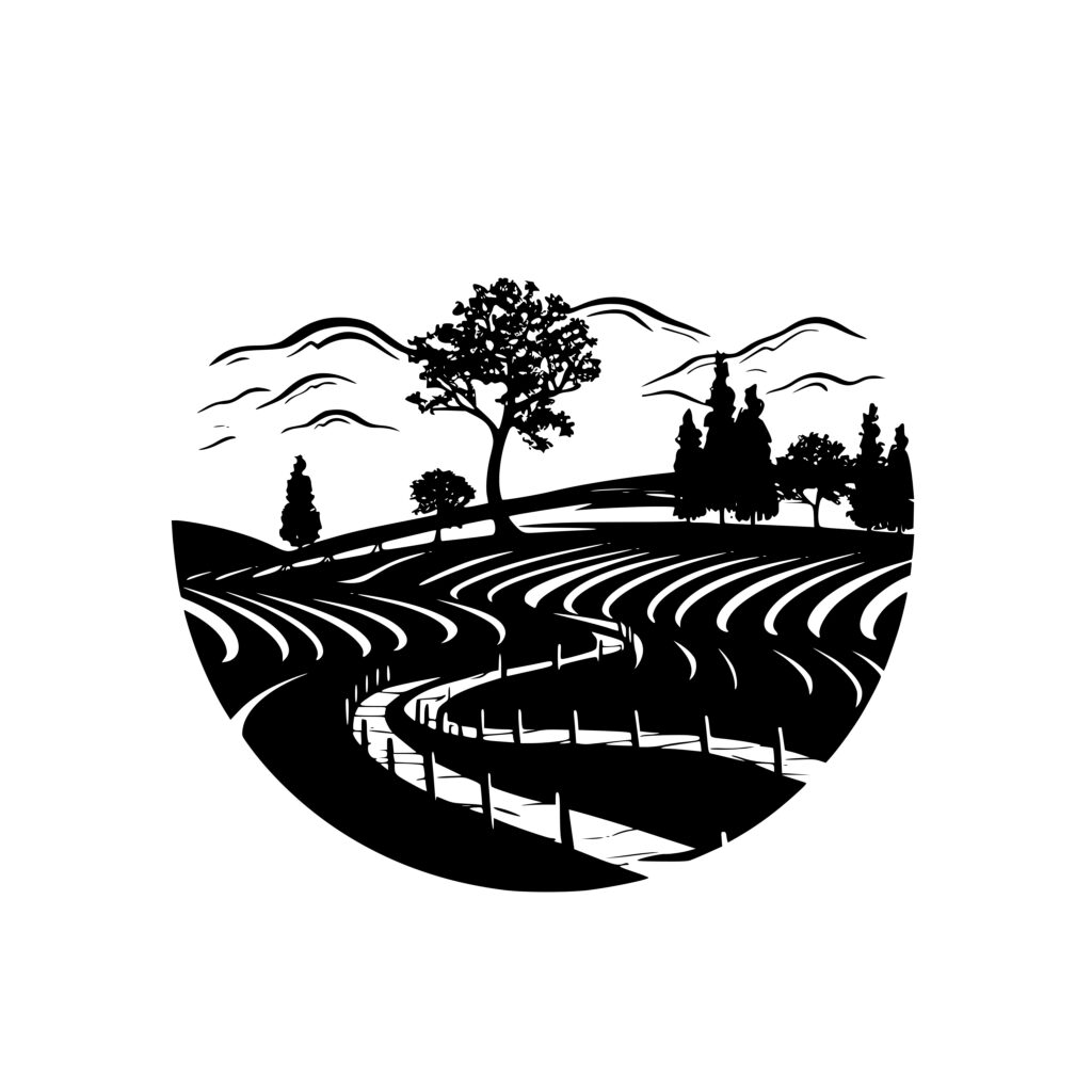 Countryside Meadow – Creative Meadow