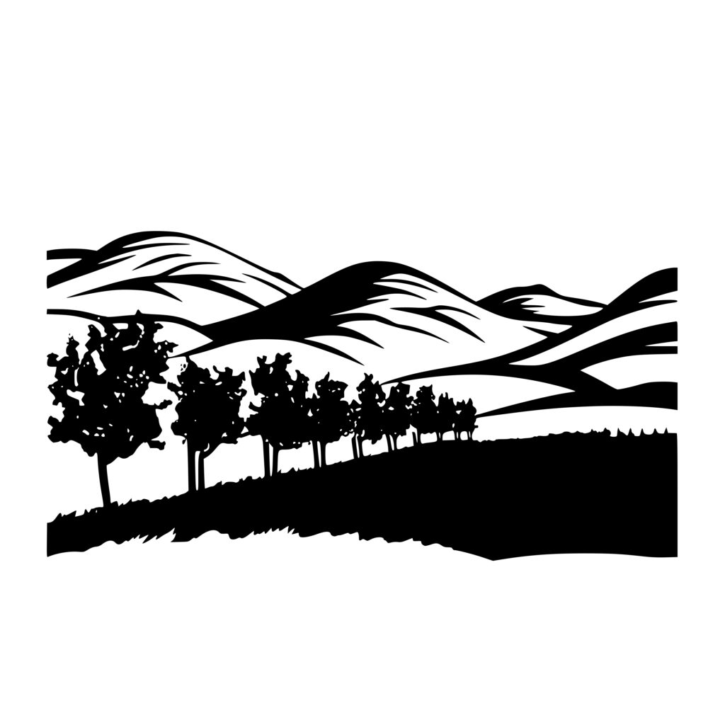 Winding Vineyard Rows – Creative Meadow
