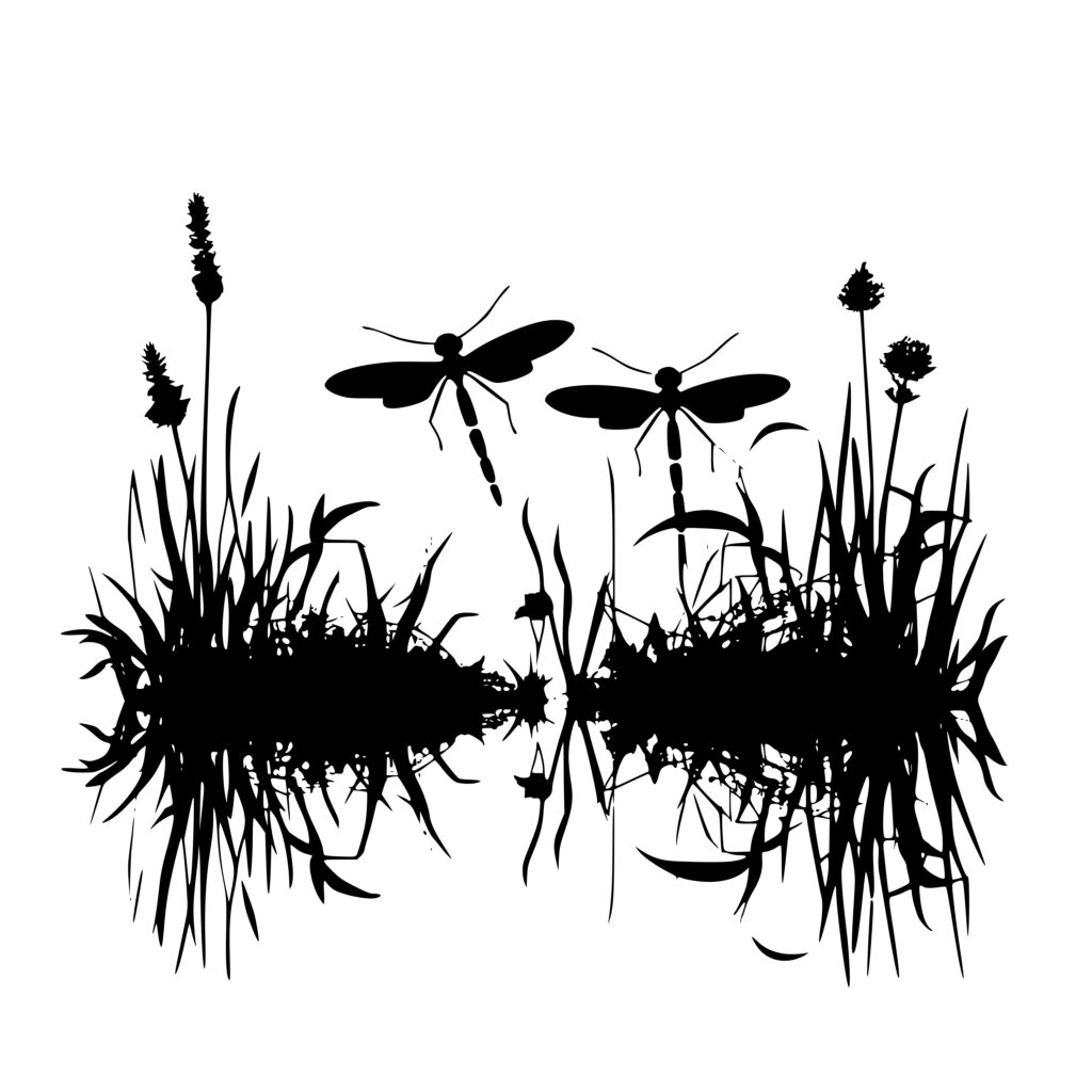 Dragonflies Field SVG, PNG, DXF Files for Cricut, Silhouette, Laser ...