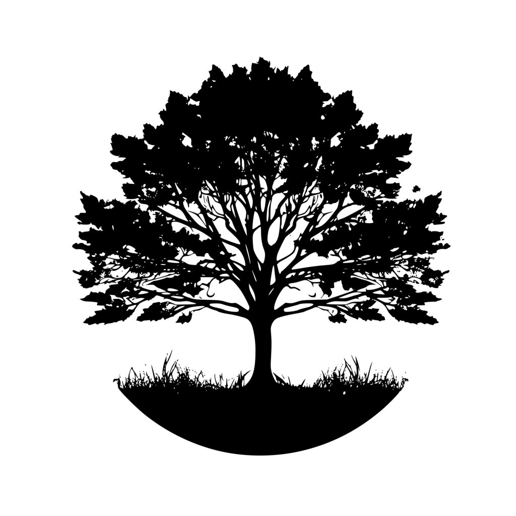 Autumn Tree of Life – Creative Meadow