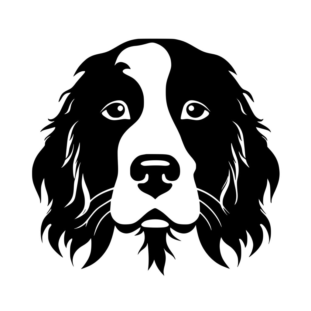 Adorable Springer Spaniel – Creative Meadow