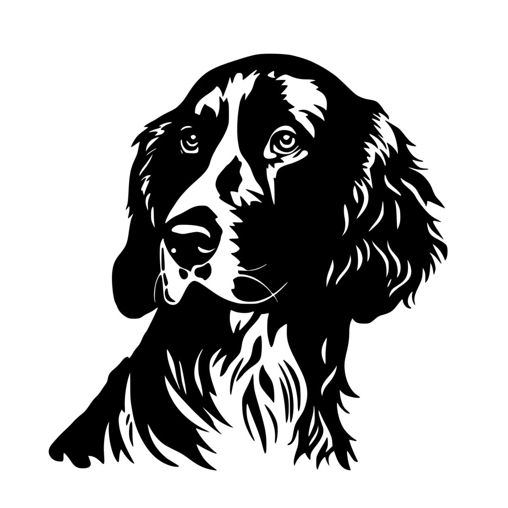 Instant Download Springer Spaniel Dog SVG File for Cricut, Silhouette ...