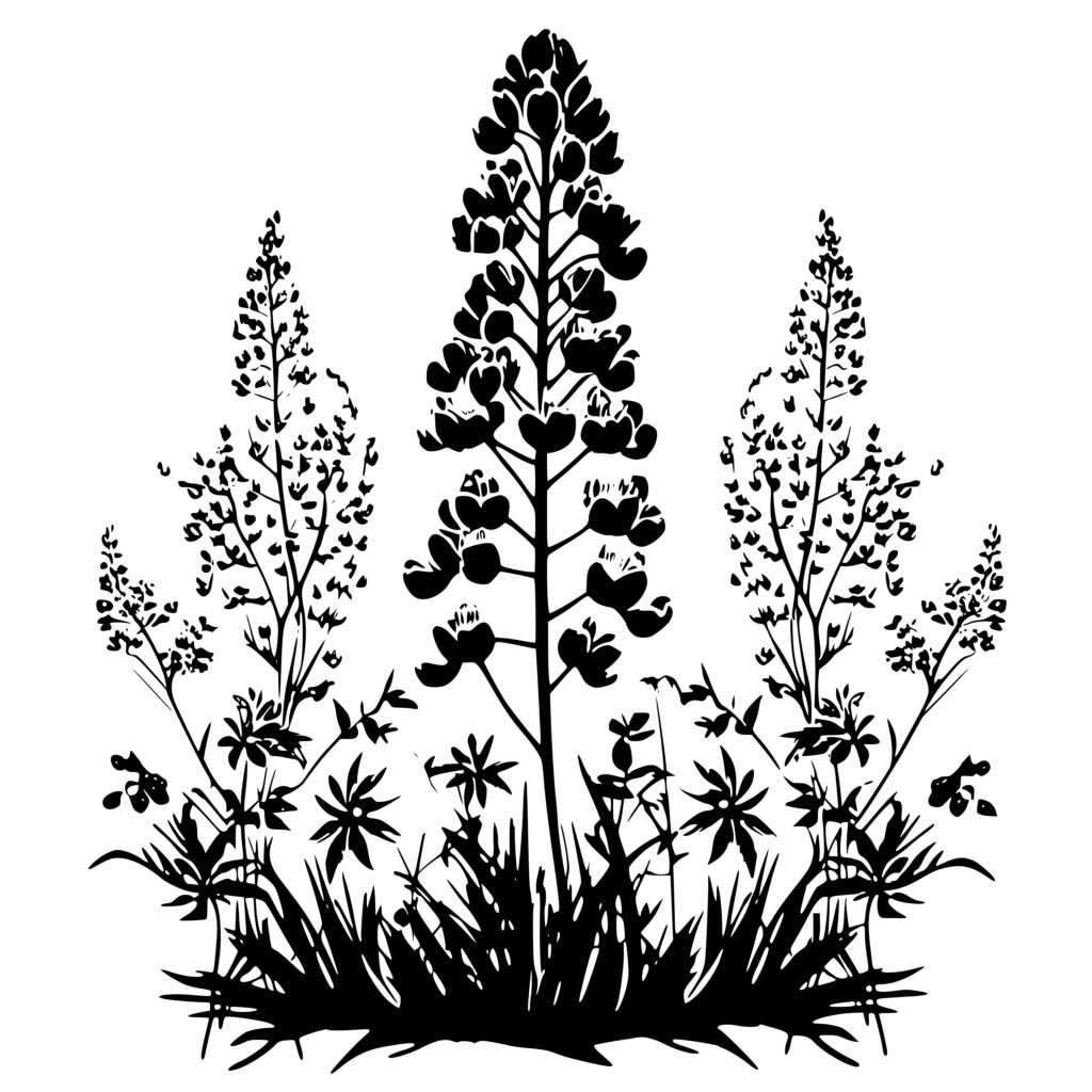 Bluebonnet Elegance – Creative Meadow