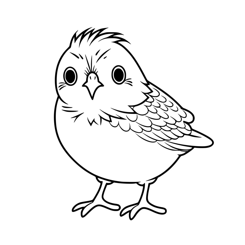 Quirky Quail SVG Image: Perfect for Cricut, Silhouette, Laser Machines