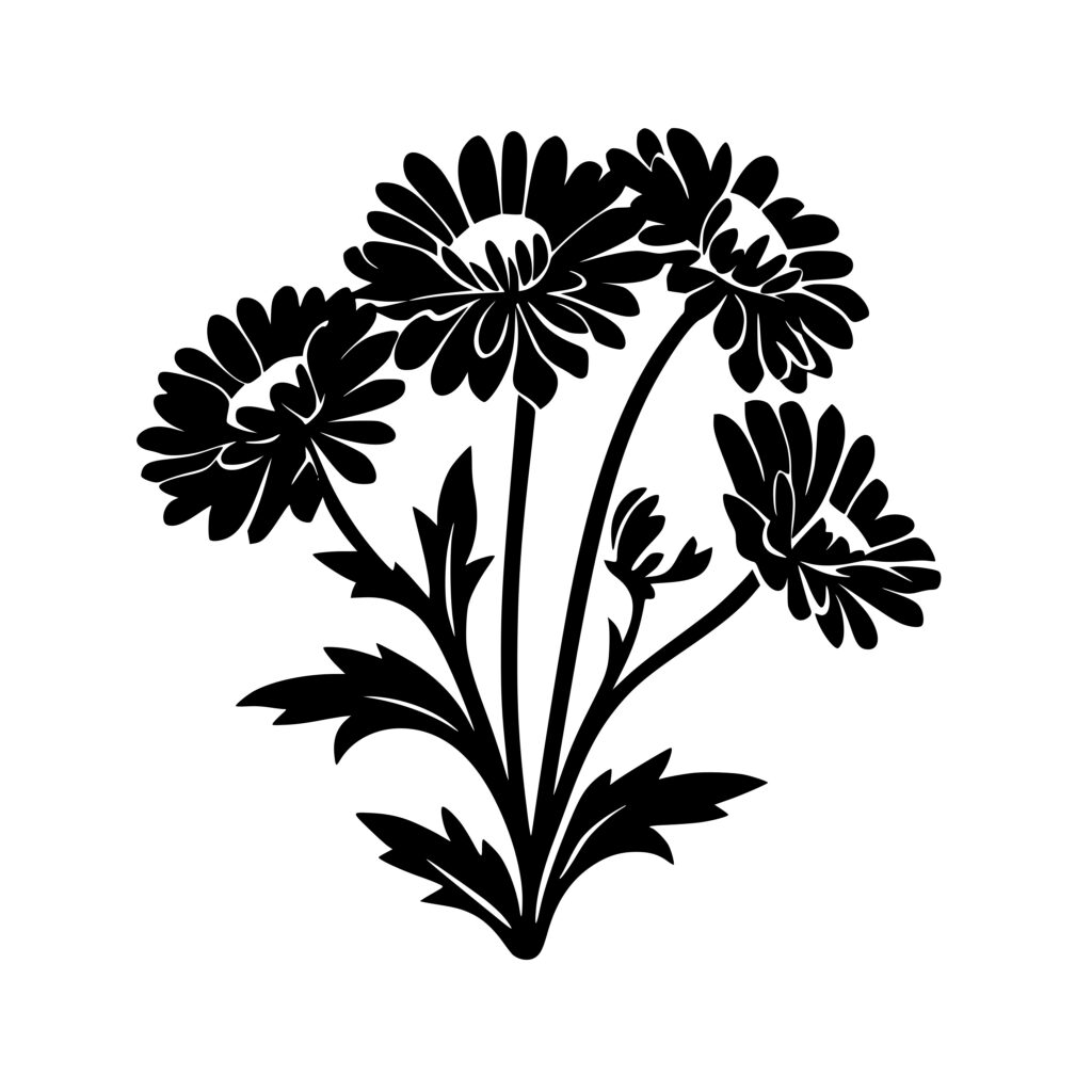 Fresh Aster Flowers SVG, PNG, DXF | Instant Download for Cricut ...