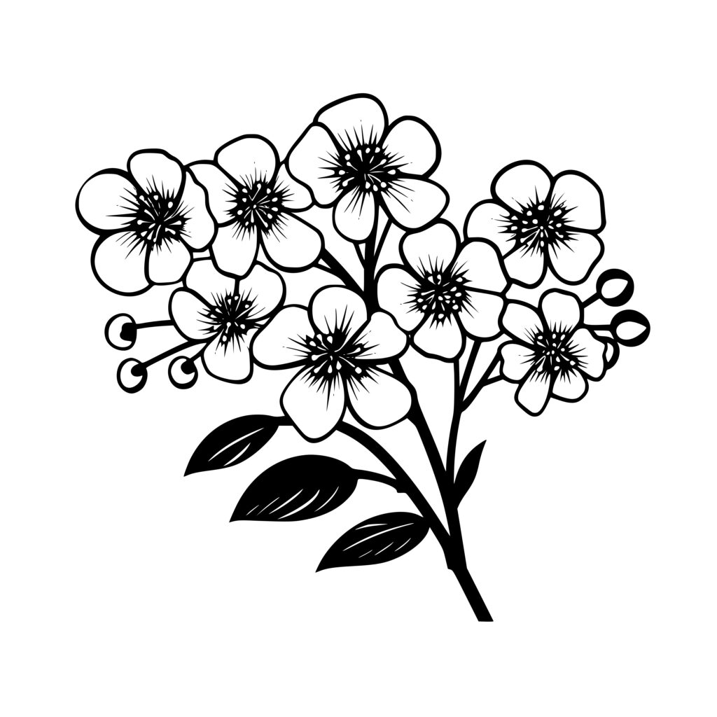 Fresh Cut Hawthorn Flowers – Creative Meadow