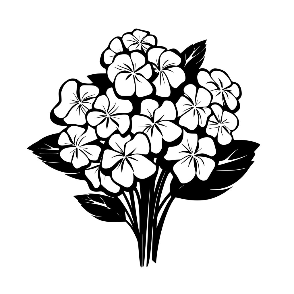 Hydrangea Arrangement – Creative Meadow