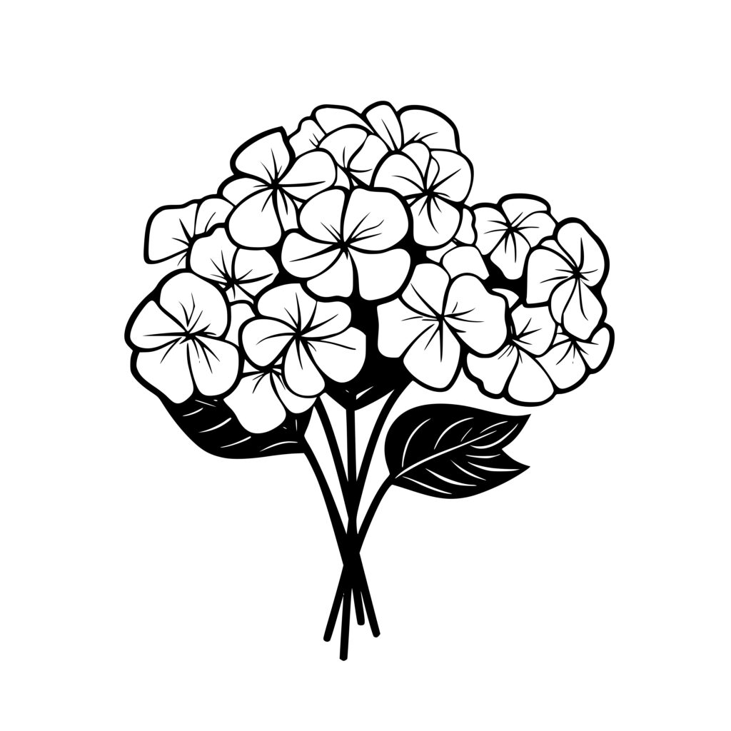 Hydrangea Bunch – Creative Meadow