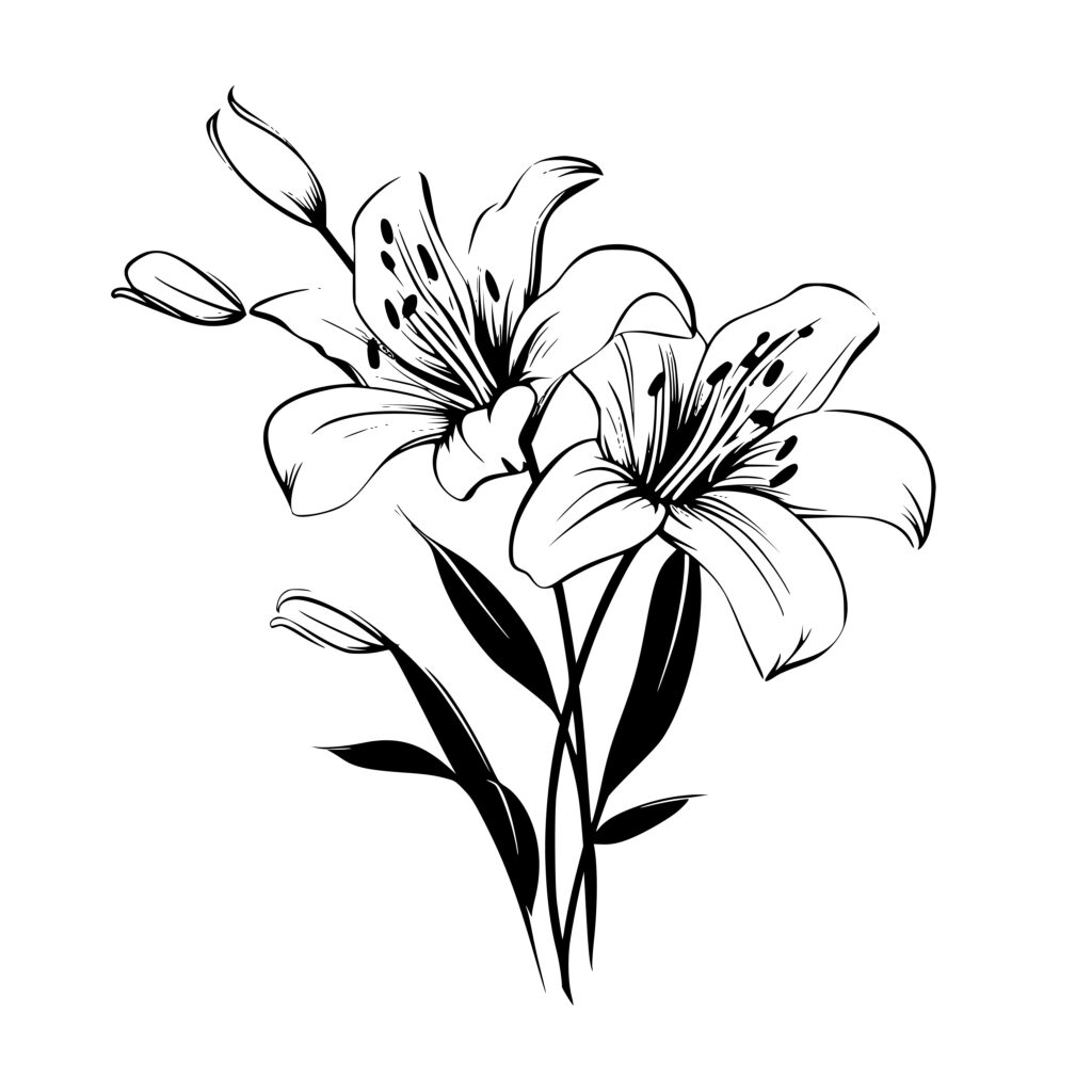Graceful Lilies SVG File: Instant Download for Cricut, Silhouette ...