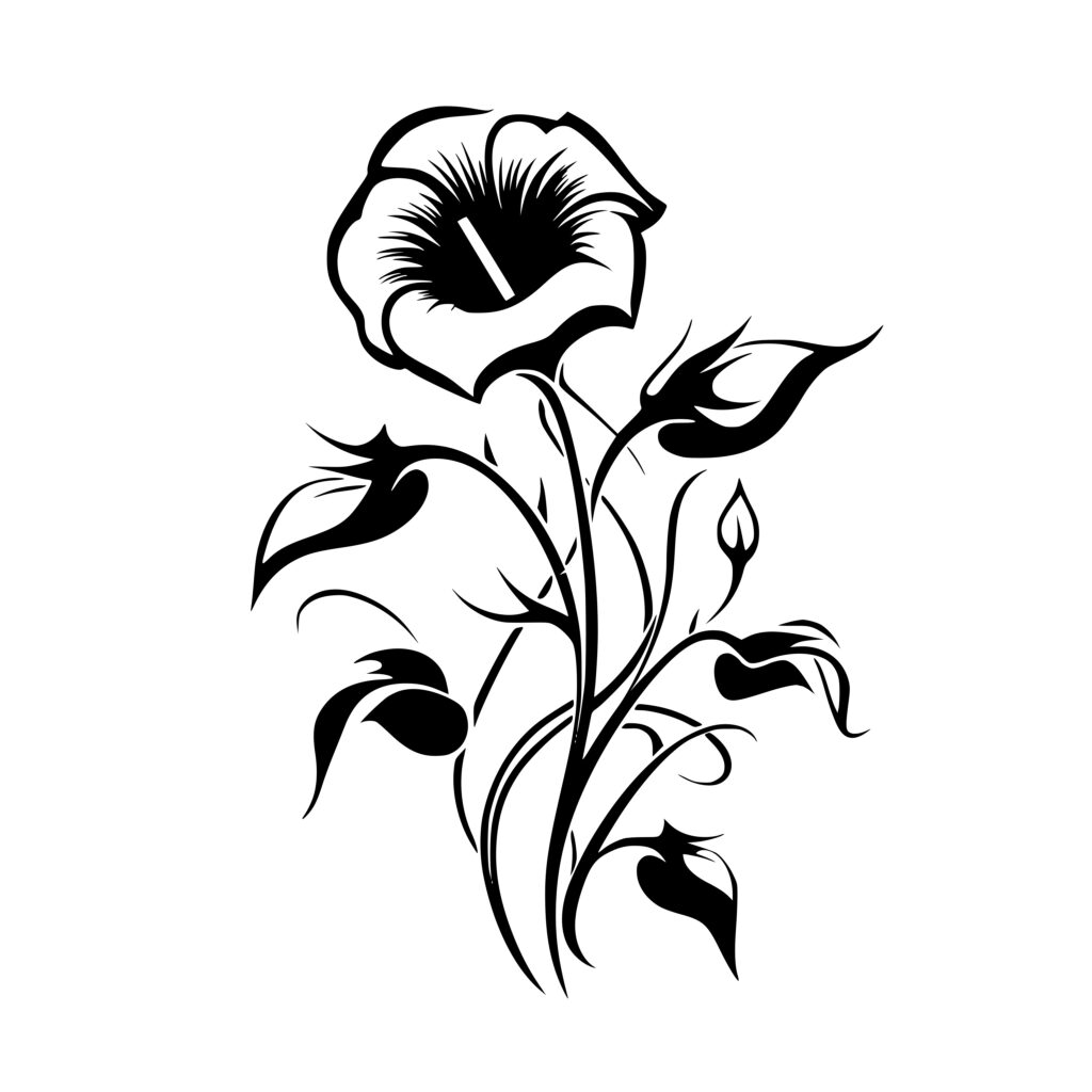 Graceful Morning Glory: SVG, PNG, DXF Files for Cricut, Silhouette ...