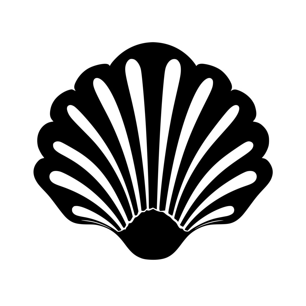 Seashell SVG Image for Cricut, Silhouette, Laser Machines - Instant ...