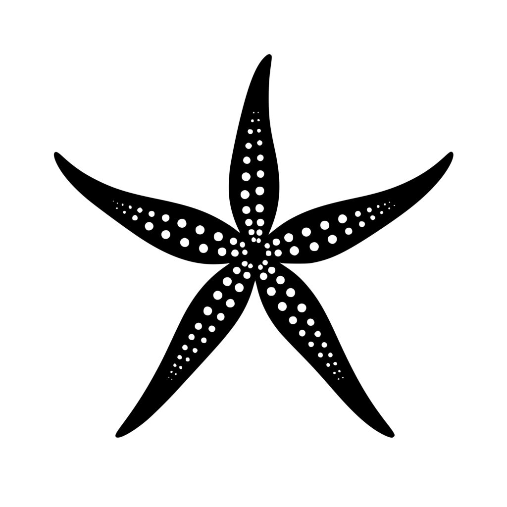 Aquatic Starfish – Creative Meadow